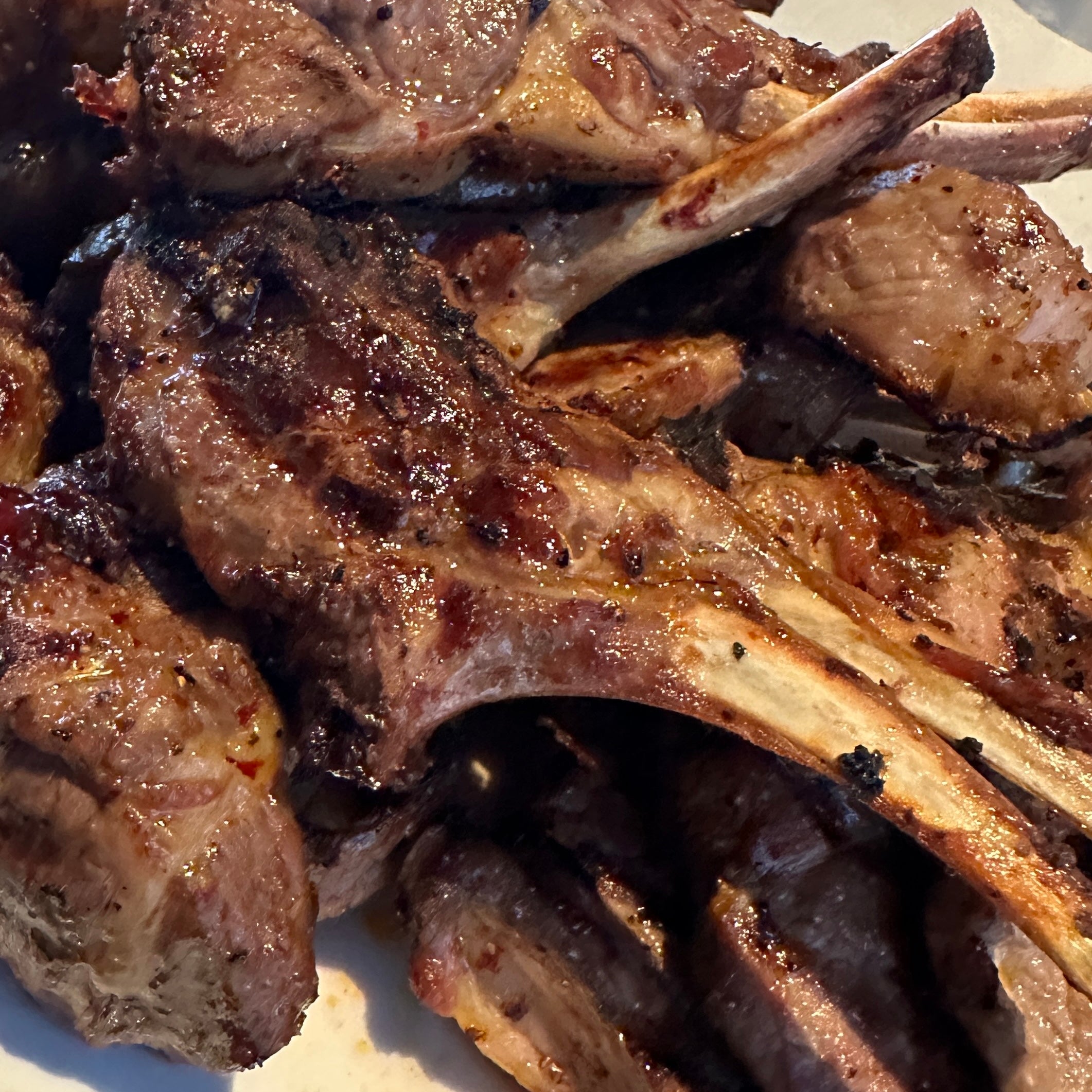 GUAJILLO CHILE CRUSTED LAMB LOLLIPOPS – Dads That Cook
